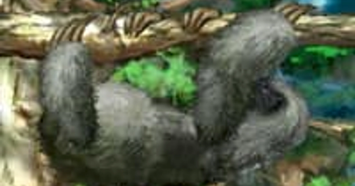 Super Sloth - Jeu en Ligne Gratuit | Jouerjouer.com